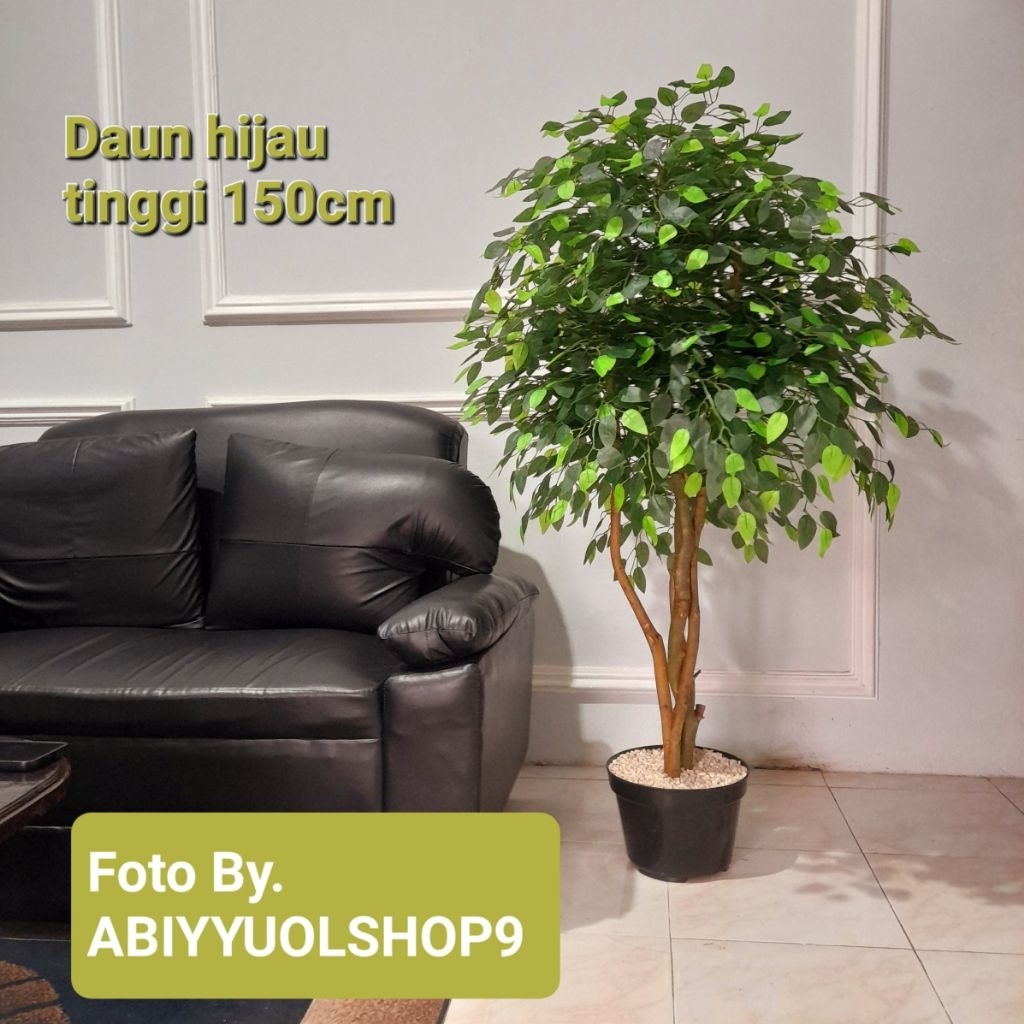 Jual NEW ARRIVAL Tanaman Artificial Beringin Varigata Daun Rimbun Lebat ...