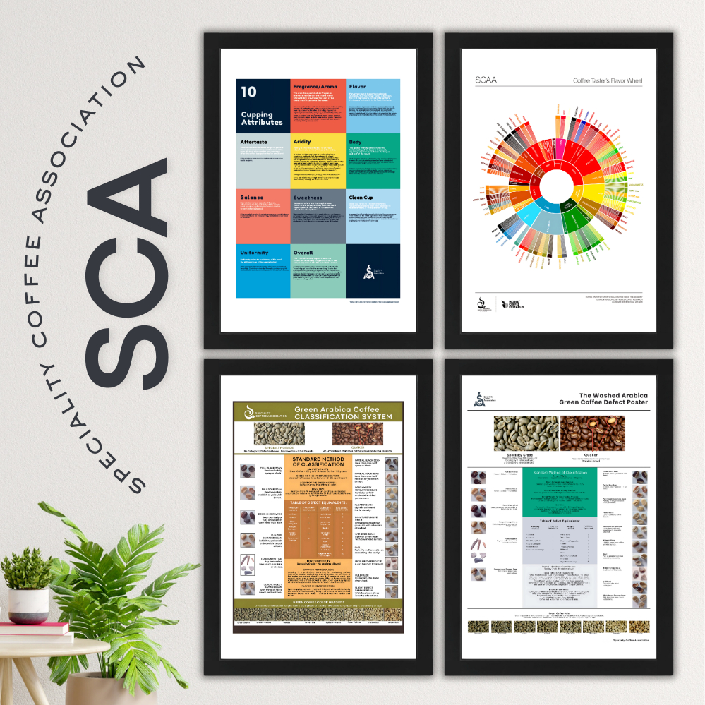 Jual Poster Kopi SCA Frame A2 - Edukasi Specialiti Ilmu Kopi Barista ...