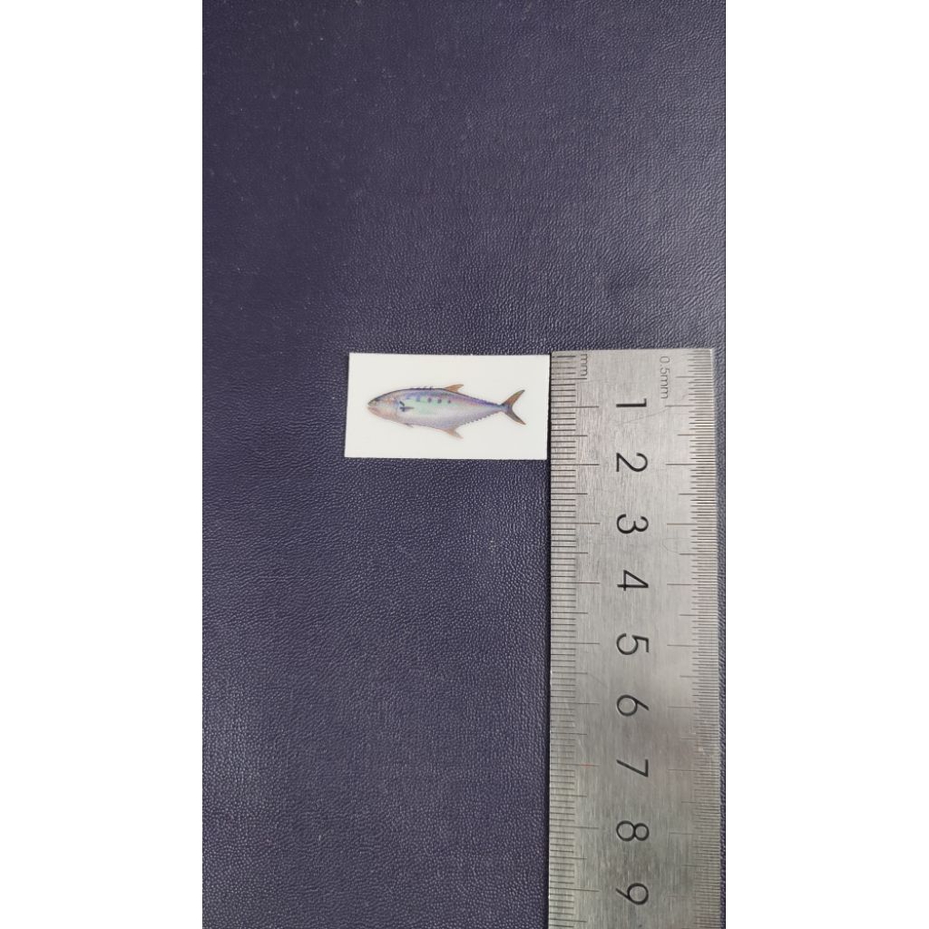 Jual stiker decal ikan queenfish langsung tempel melekat kuat pada ...