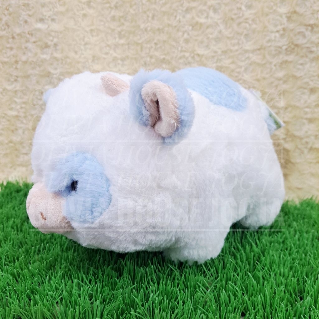 Jual Boneka Lying Sapi Biru Putih SNI Boneka Gembul Sapi Biru Coklat ...