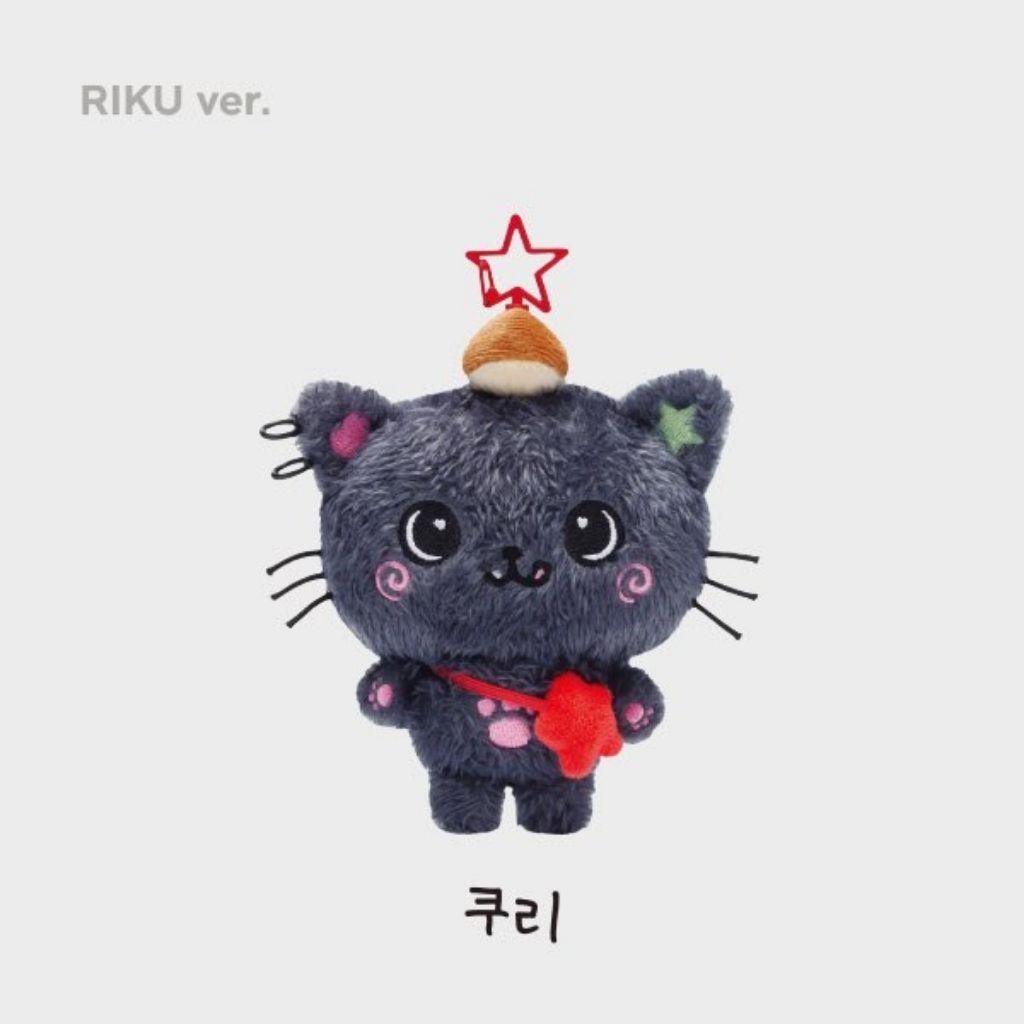 Jual [READY STOCK] NCT WISH RIKU KURI DOLL STEADY BONEKA PLUSHIE ...