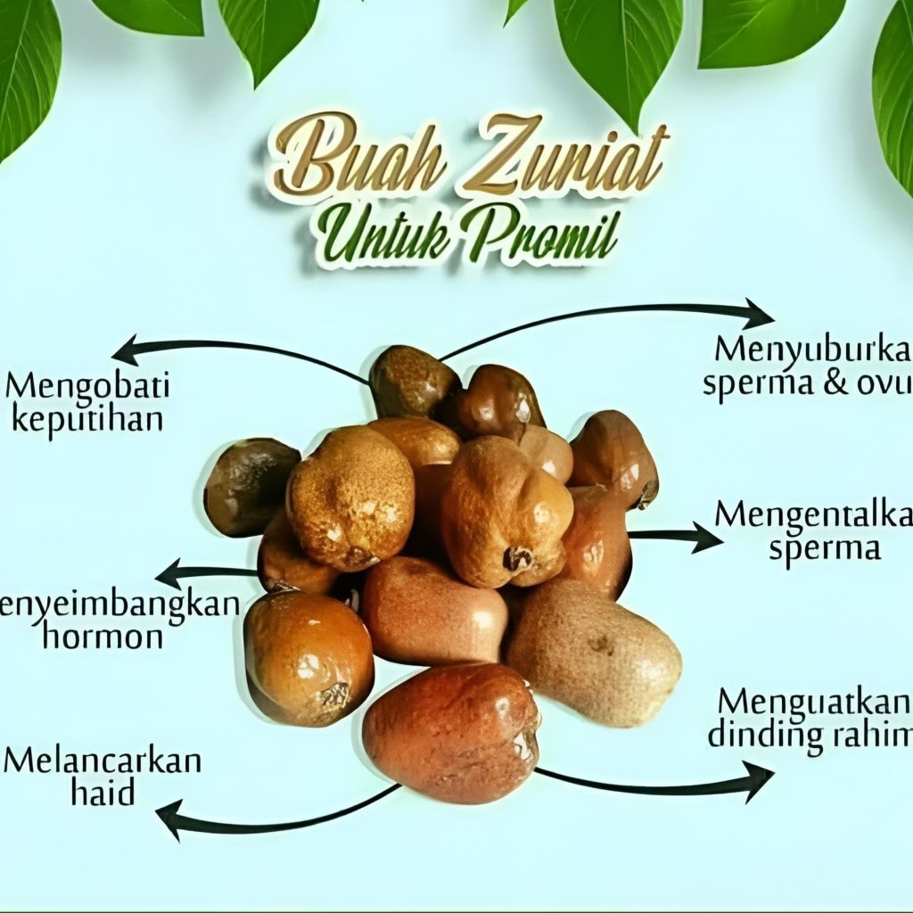 Jual Buah Zuriat Mesir Promil 500g | Shopee Indonesia
