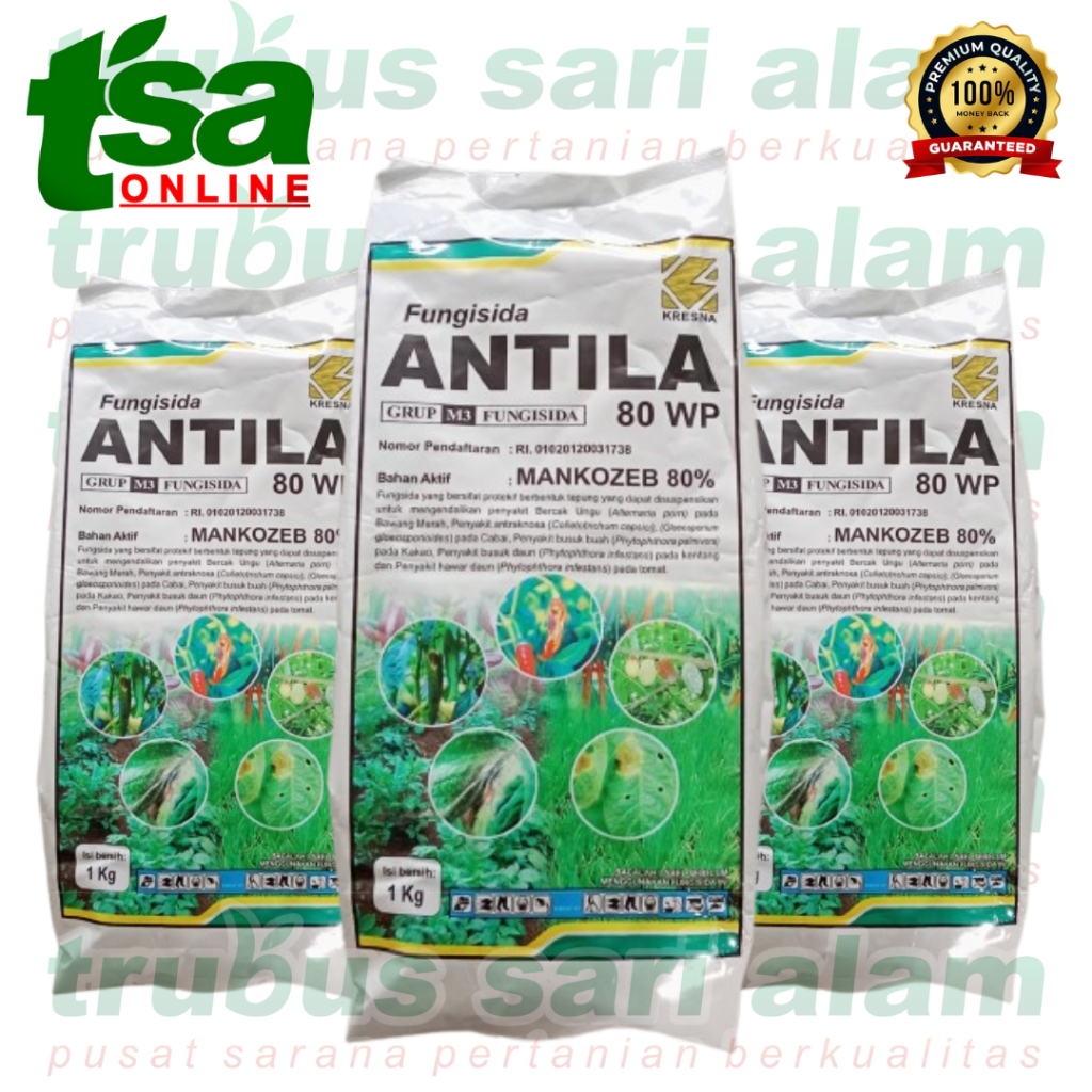 Jual FUNGISIDA ANTILA 80WP 500GR Mancozeb Obat Pengendali Penyakit ...