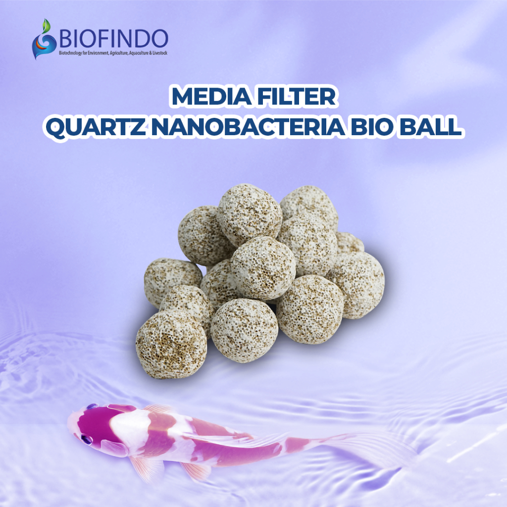 Jual Fishco Rumah Bakteri Akuarium Quartz Nanobacteria Bio Ball 30mm Media Filter 15kg GH367-15K ...