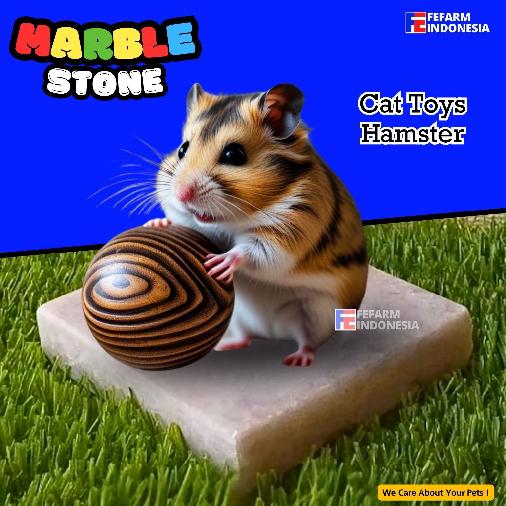 Jual MARBLE PAD - Marble Cooling Pad Hamster Pendingin Hamster Alas ...