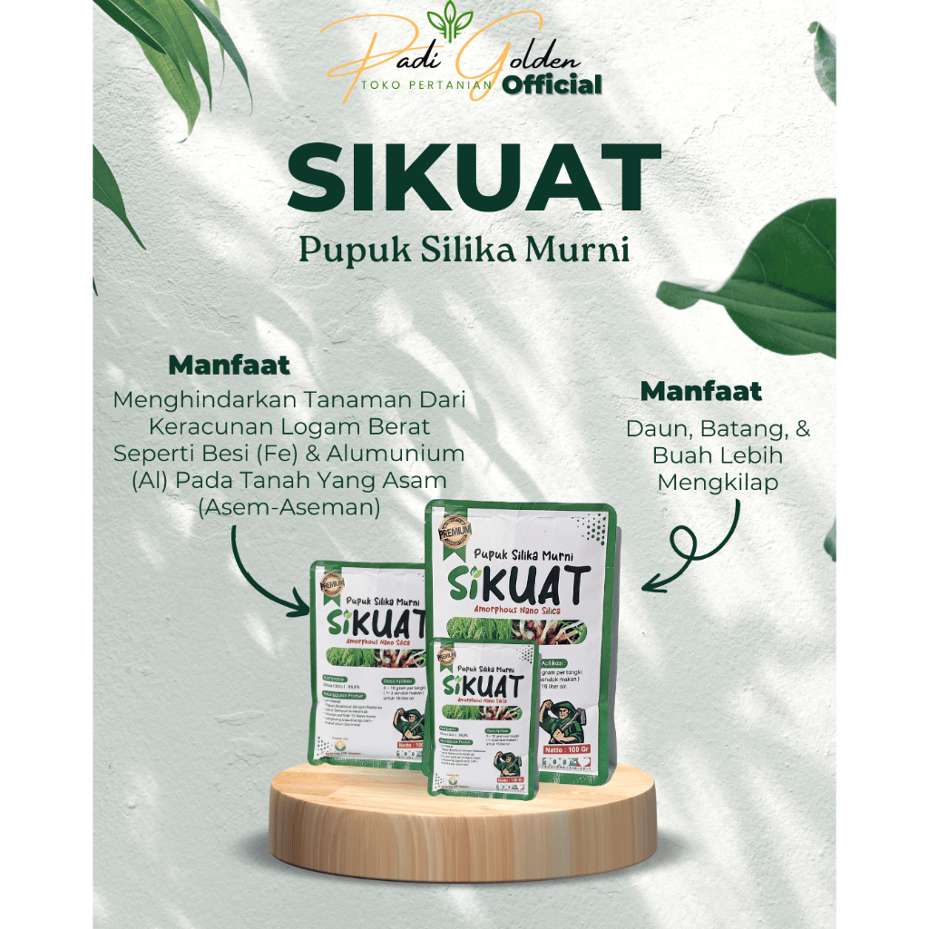 Jual Pupuk silica murni SIKUAT 500 gr kandungan : silica 99,8% | Shopee ...