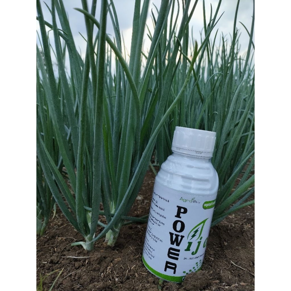 Jual nutrisi power ijo 500ml multivitamin tanaman | Shopee Indonesia