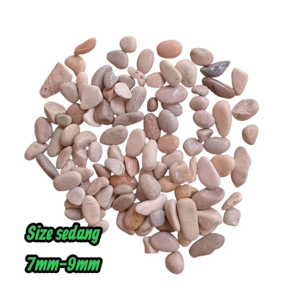 Jual 1kg batu alam warna cream/batu putih cream/batu koral putih/batu ...