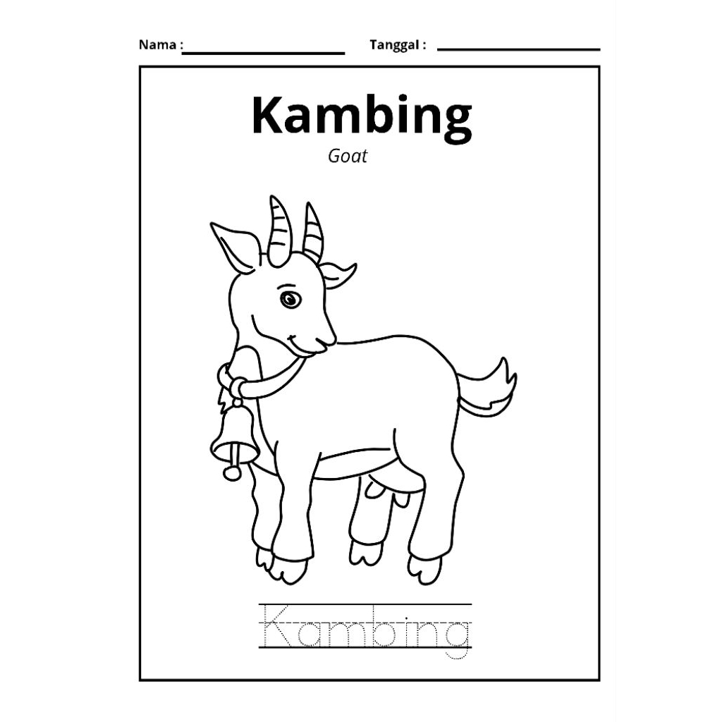 Jual WORKSHEET TEMA BINATANG ISI 20LEMBAR A4 | Shopee Indonesia