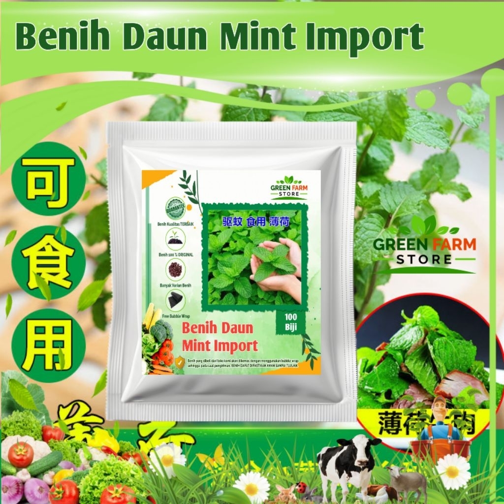 Jual Benih Daun Mint Import (100 biji) | Shopee Indonesia