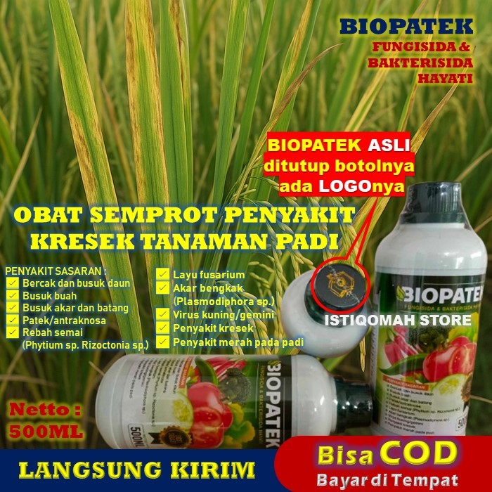Jual BIOPATEK 500ML 100% AMPUH Fungisida & Bakterisida Hayati Pembasmi ...