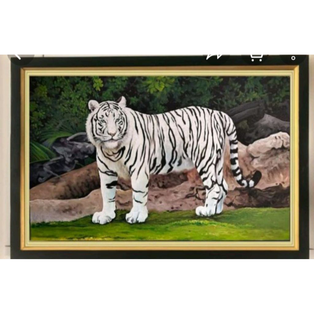 Jual gambar macan putih plus bingkai ukuran 65x45cm | Shopee Indonesia