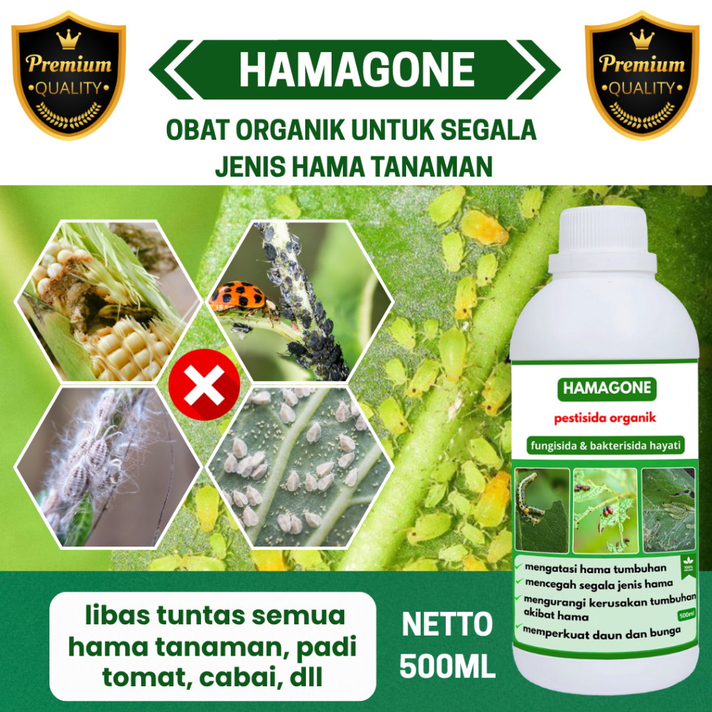 Jual OBAT HAMA ULAT PADI SUNDEP BELUK 500 ML HAMAGONE - Obat Hama Padi ...
