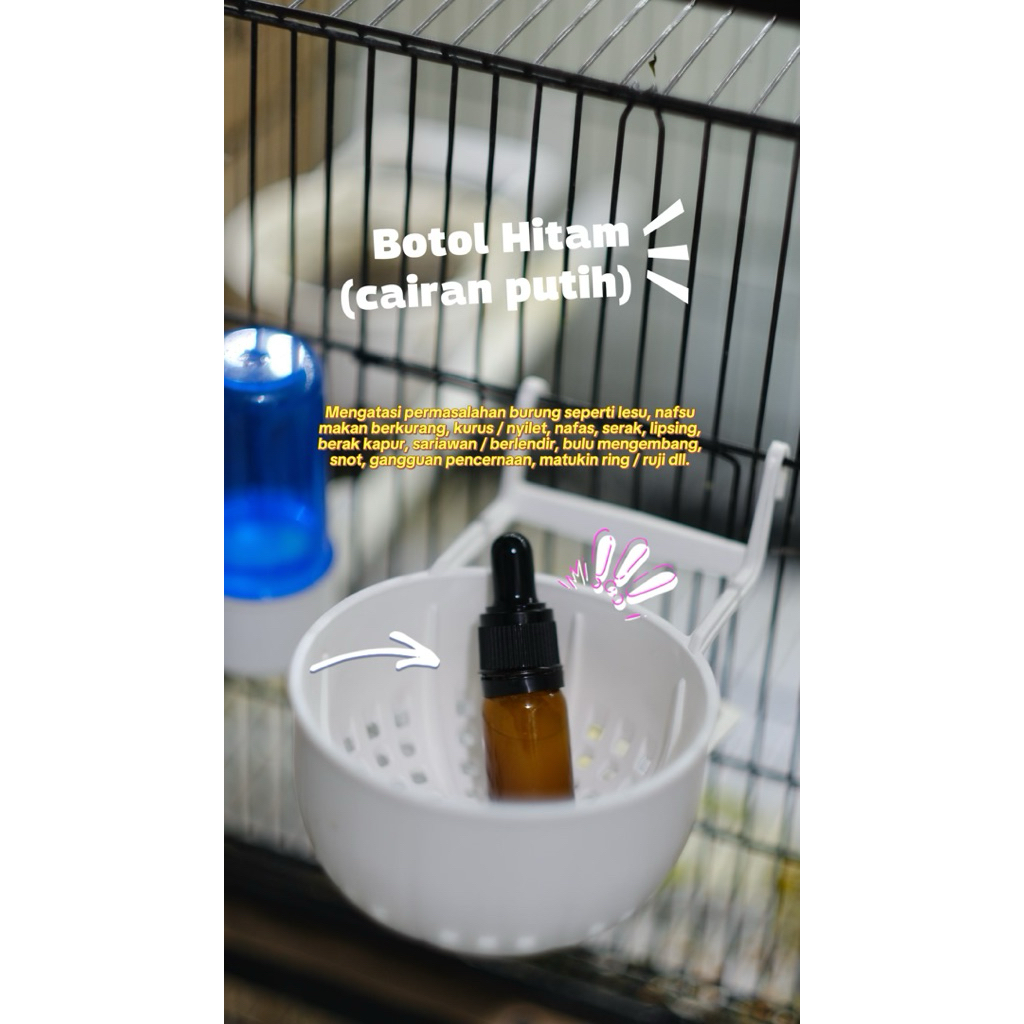Jual Botol Hitam (Cairan Putih) obat lesu, nafsu makan berkurang, kurus ...