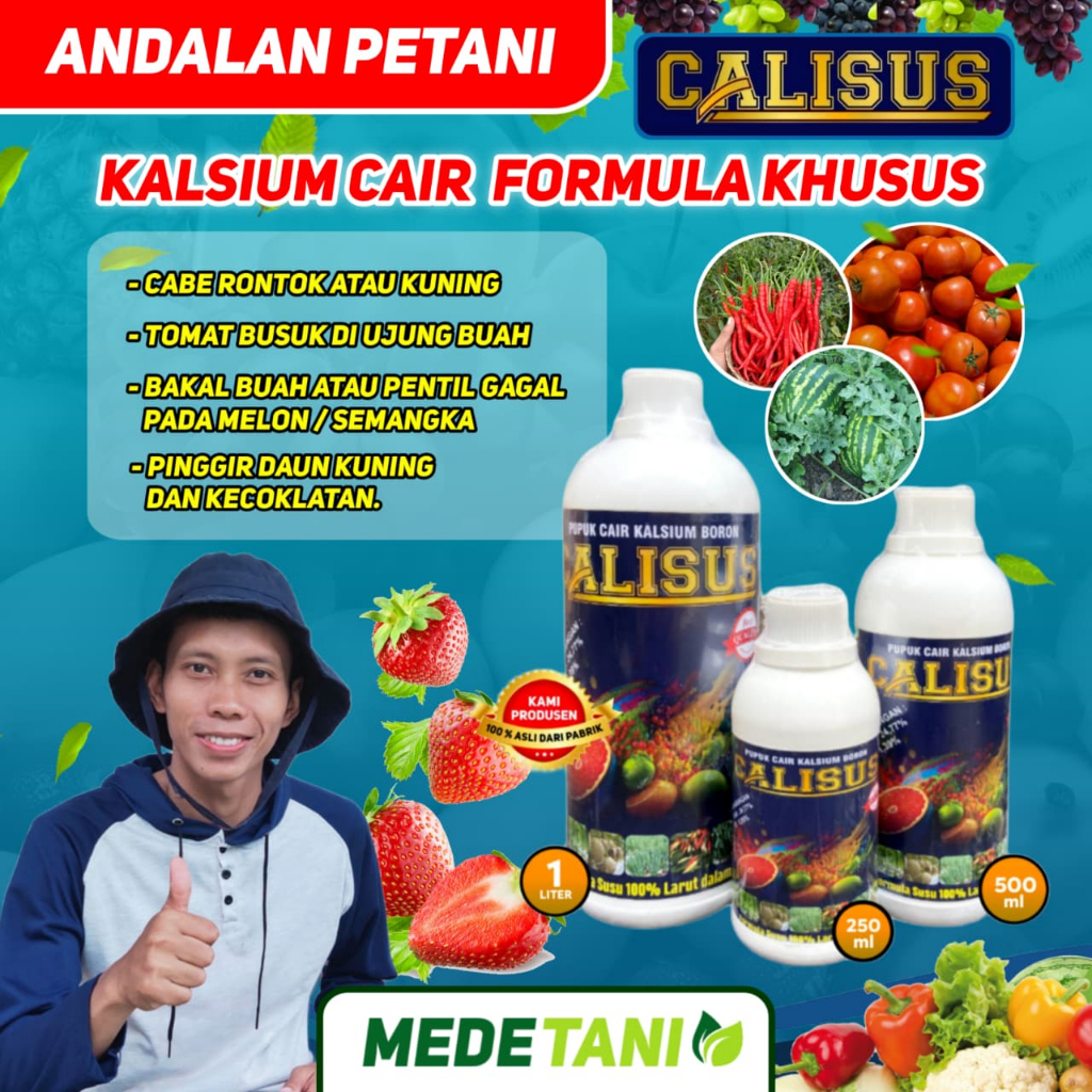 Jual CALISUS Kalsium Formula Susu Mencegah Daun Kuning dan Buah Busuk ...