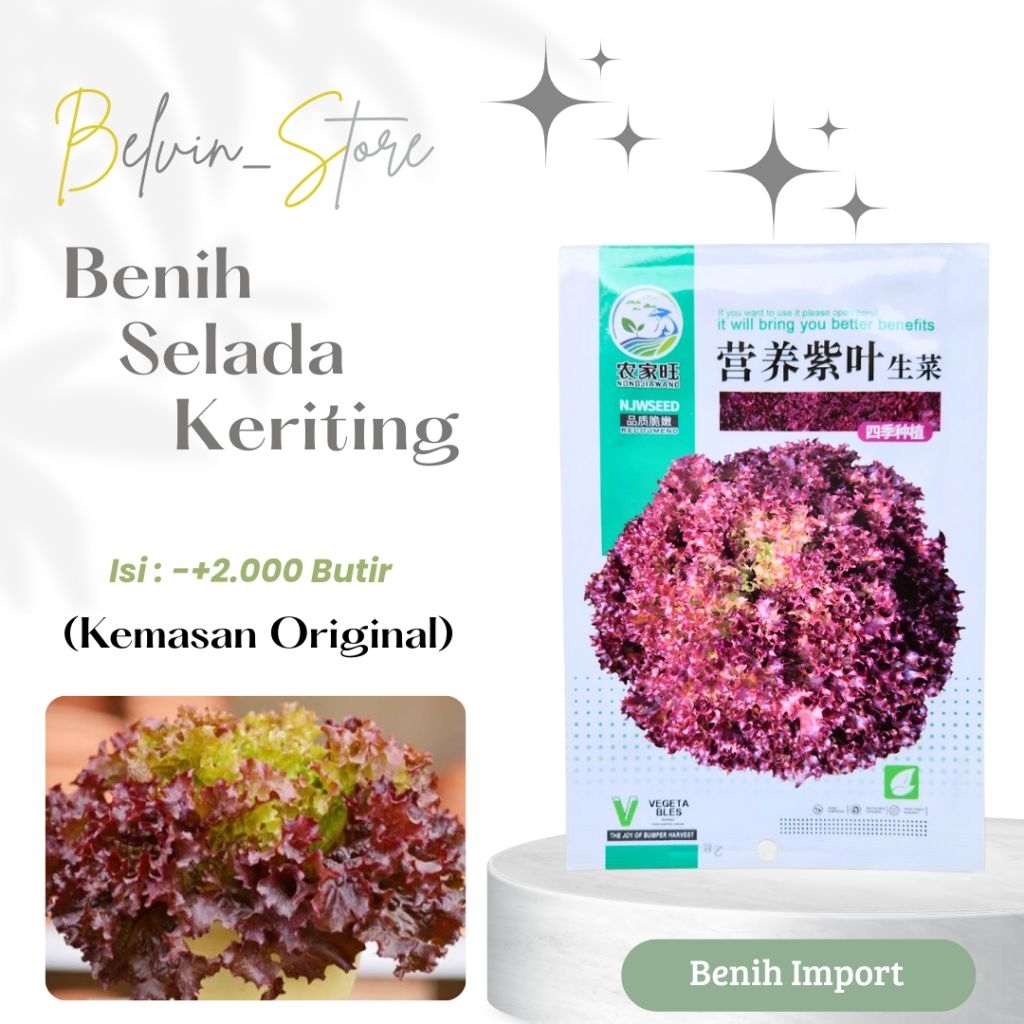 Jual (-+2.000 butir) Benih tanaman selada keriting merah | red curly ...