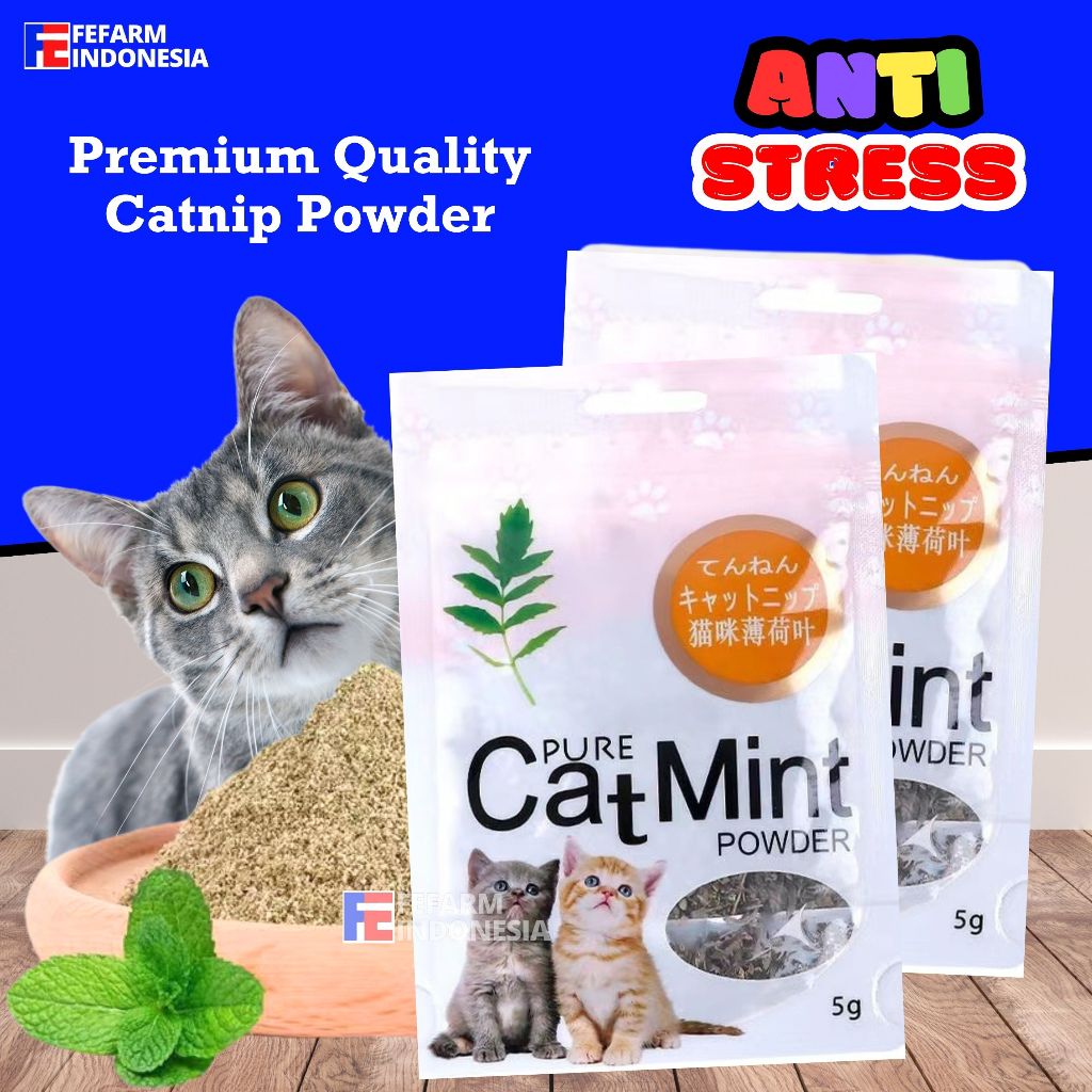 Jual Catnip Camilan Kucing Catmint Menthol Snack Makanan Cat Kitten ...