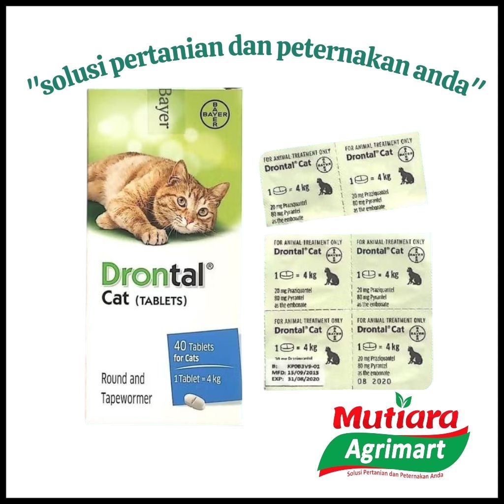 Jual DRONTAL CAT TABLET ORIGINAL // OBAT CACING KUCING // DEWORMER ...