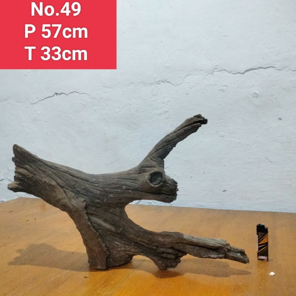 Jual akar kayu santigi laut akar aquascape aquarium 49 | Shopee Indonesia