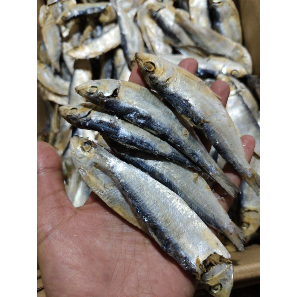 Jual Ikan Asin Tanjan Rebus | Shopee Indonesia