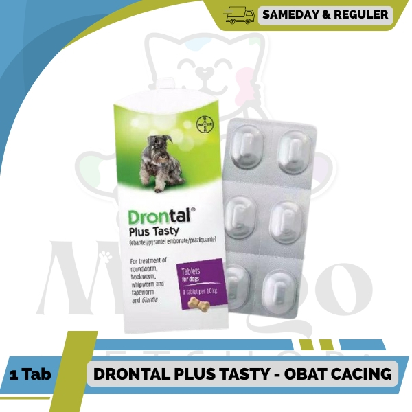 Jual Drontal Plus Tasty Dog 1 Tab - Obat Cacing Anjing | Shopee Indonesia