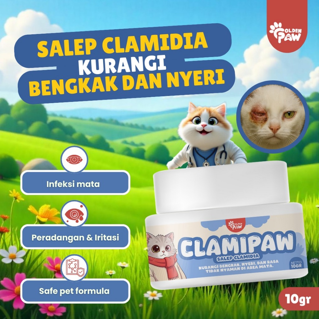 Jual Golden Paw - Clamipaw 10gr Salep Clamidia Mata Kucing Mengurangi ...