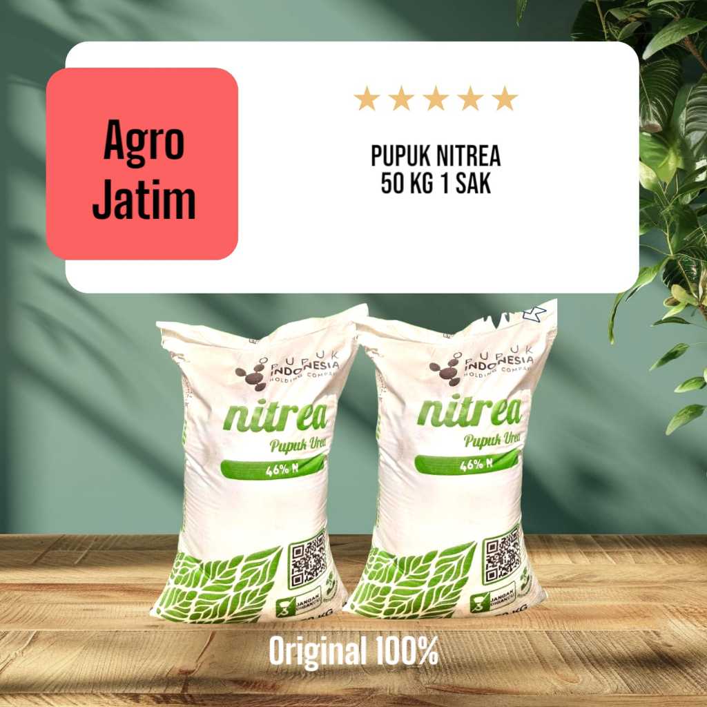 Jual Pupuk Urea Nitrea Granul 1 Sak - 50 KG | Shopee Indonesia