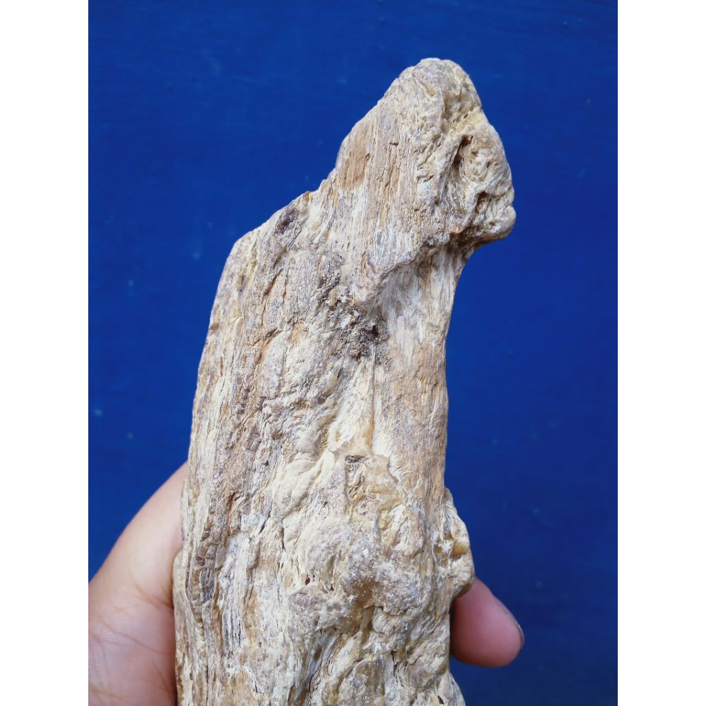 Jual Batu Posil Kayu Kristal Suiseki Antik | Shopee Indonesia