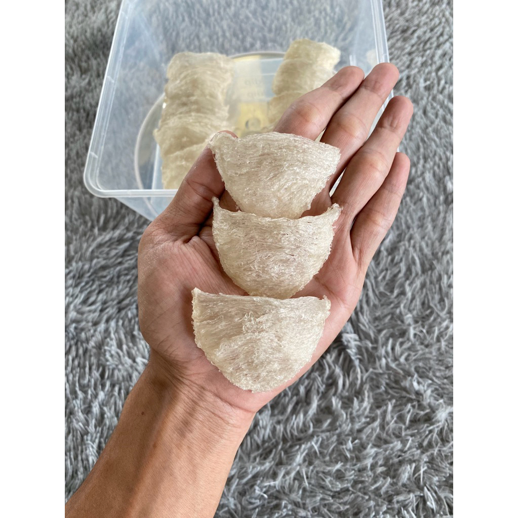 Jual Sarang Burung Walet SUDUT Putih Jawa BERSIH 100% Original Tanpa ...