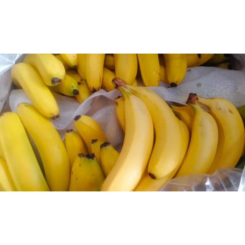 Jual PISANG CAVENDISH SUNPRISE FRESH | Shopee Indonesia