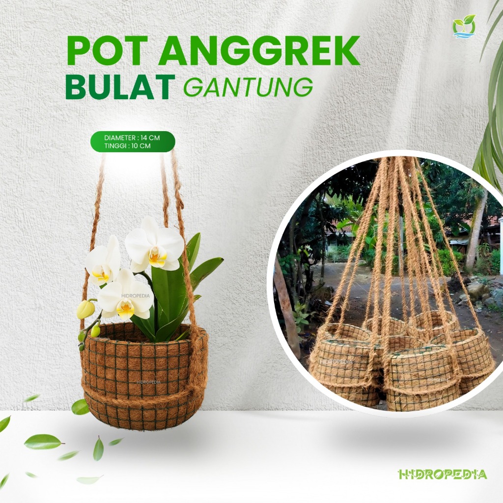 Jual POT BULAT GANTUNG ANGGREK PITA D-14 [ESTETIK & NATURAL ...