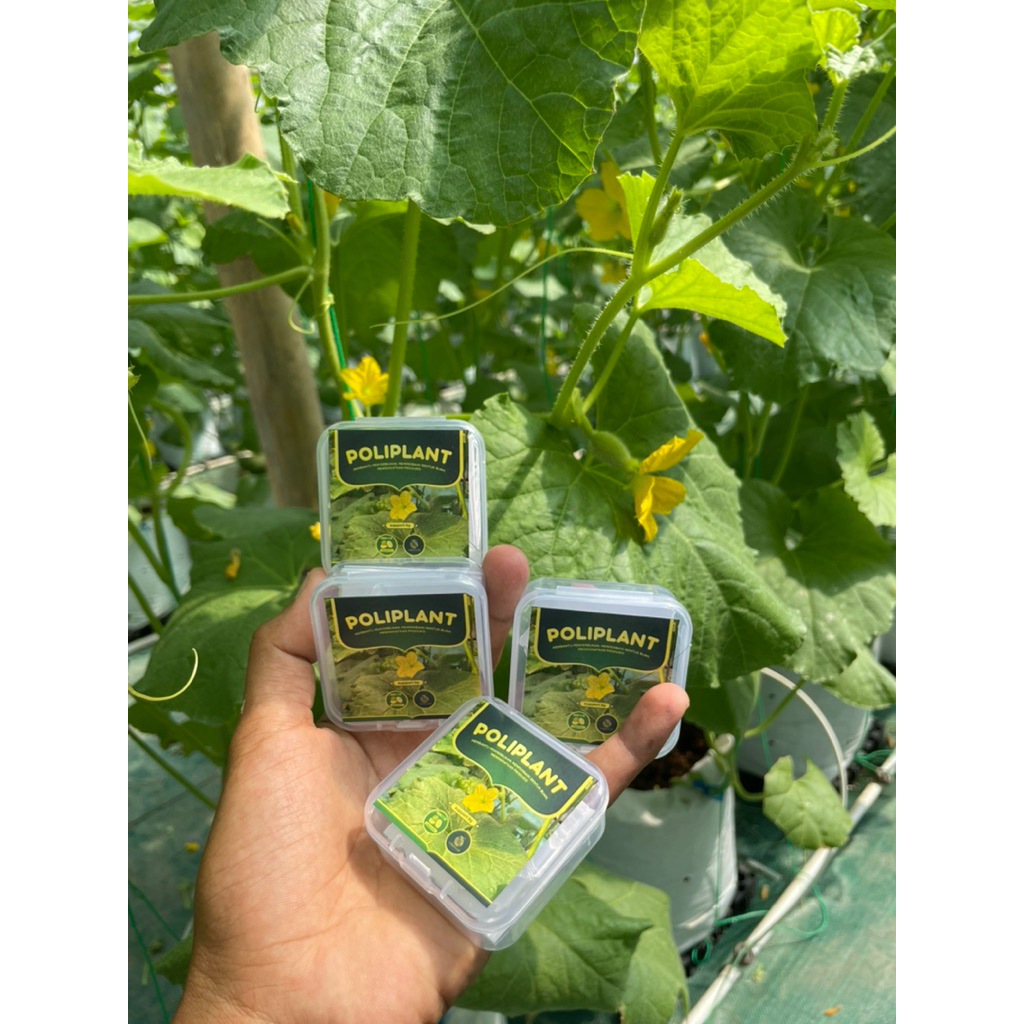 Jual POLIPLANT || Cairan Polinasi untuk Bunga Melon & Semangka || Dosis ...
