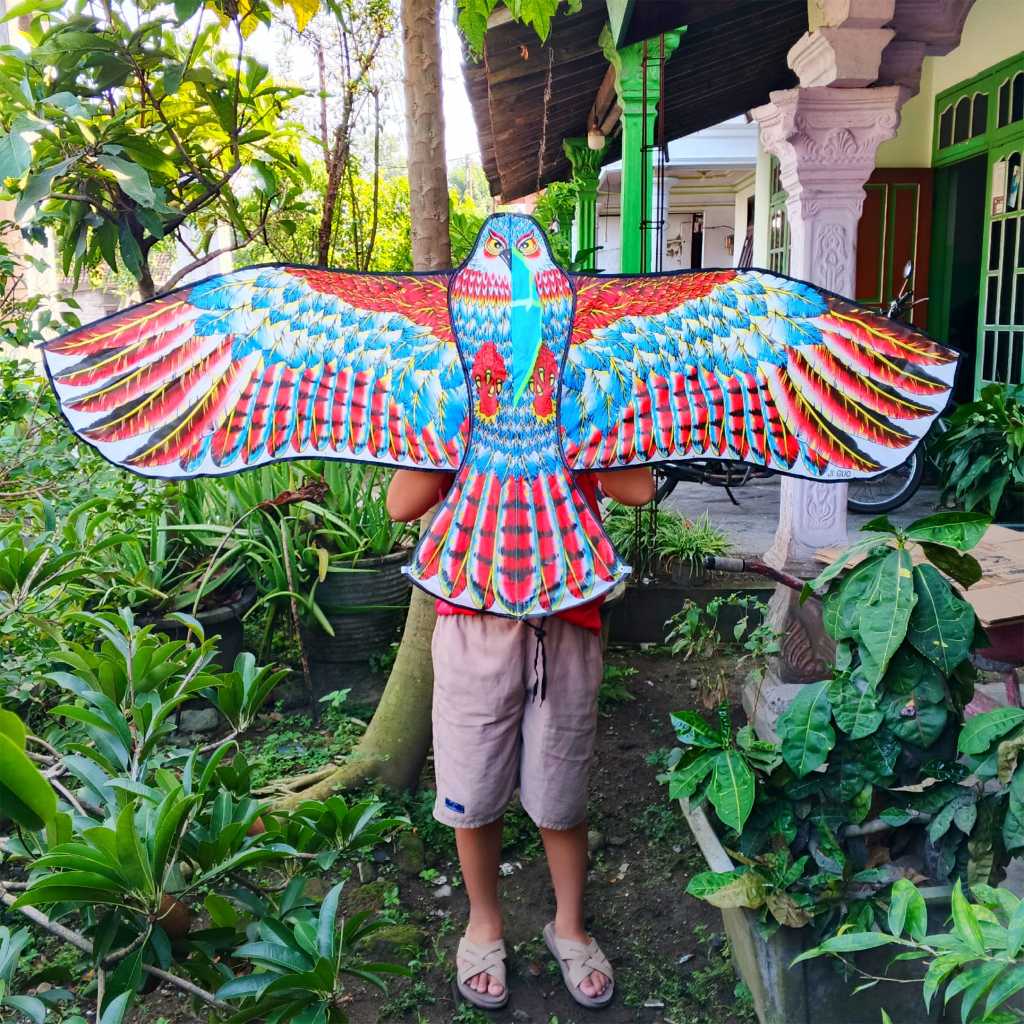 Jual Rame Layangan Burung Elang Jumbo Ukuran 2,4 Meter Layang-Layang ...