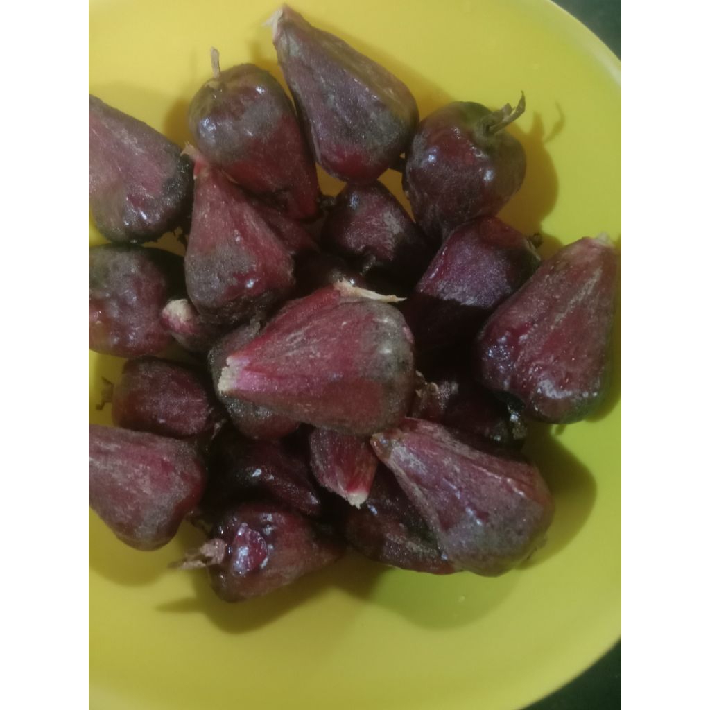 Jual buah honje laka segar/500g | Shopee Indonesia