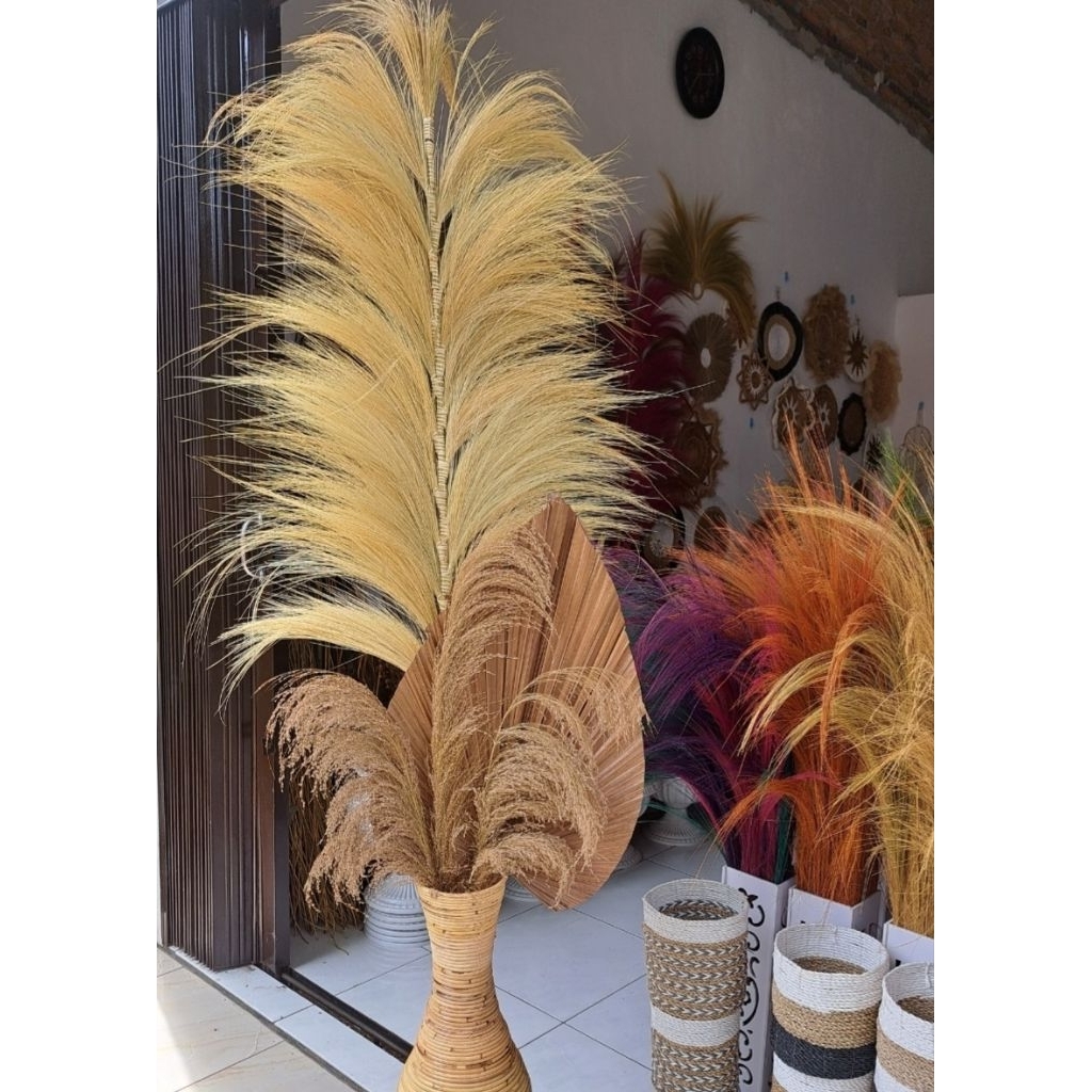 Jual Ready !!! Isi 1 pcs Bunga rayung / Bunga Kering / daun rayung ...