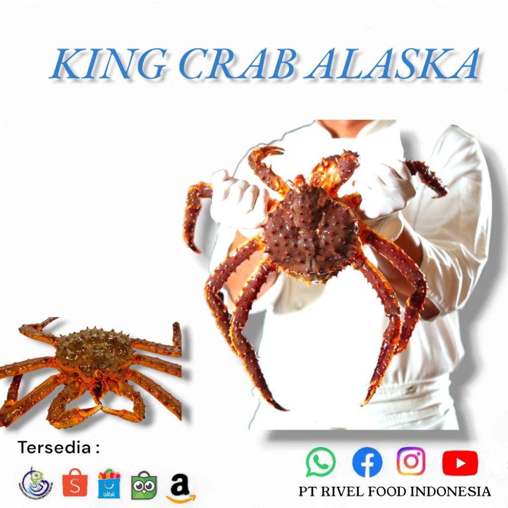 Jual Raja Kepiting Alaska Frozen | King Crab Import Frozen Utuh Perekor ...