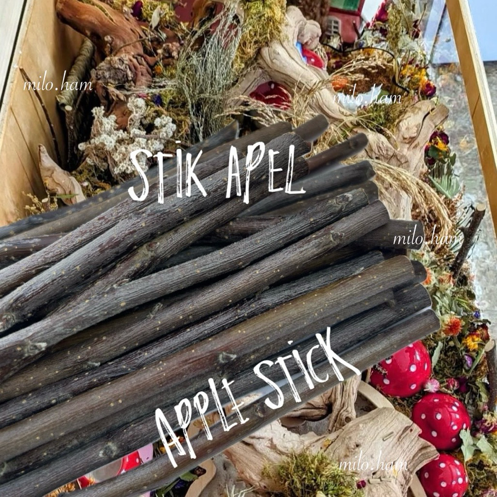 Jual Apple Stick | Stik Tongkat Apel | Chew Toys Gigitan Pengasah Gigi ...