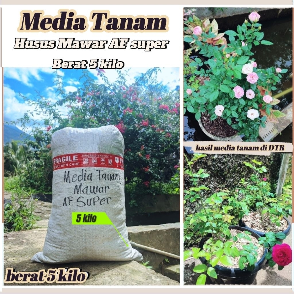 Jual media tanam mawar af super Berat 5kg (siap pakai) cocok untuk ...