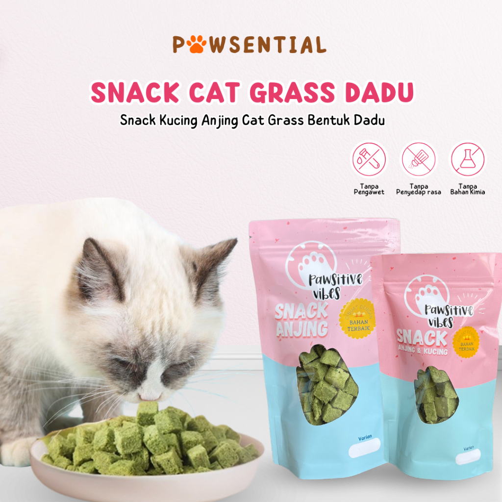 Jual Cat Grass Dadu - Snack Rumput Kucing - Premium Grass Wheatgrass ...