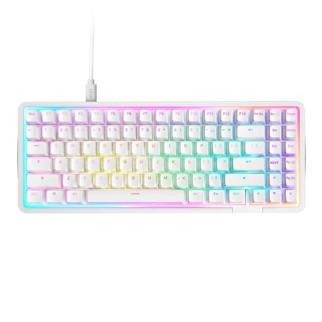 Jual NZXT Function Elite Mini TKL White Gaming Keyboard | Shopee Indonesia