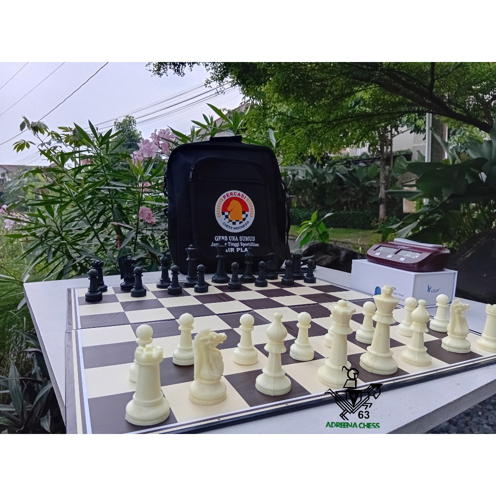 Jual Set Catur Plastik Standar Turnamen Nasional | Shopee Indonesia