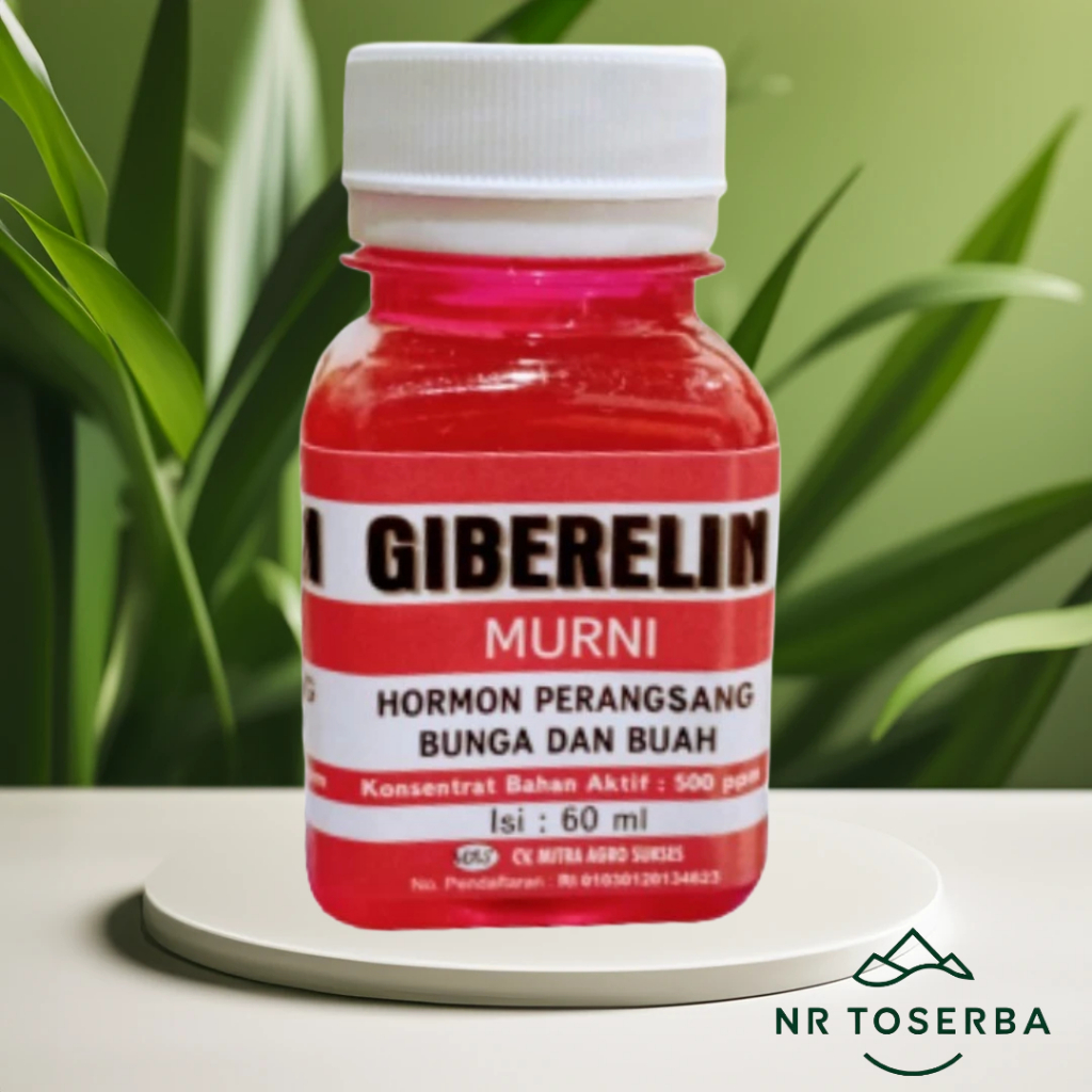 Jual GIBERELIN 60ML HORMON TANAMAN GIBERELIN GIBERLIN/ PERANGSANG BUNGA ...