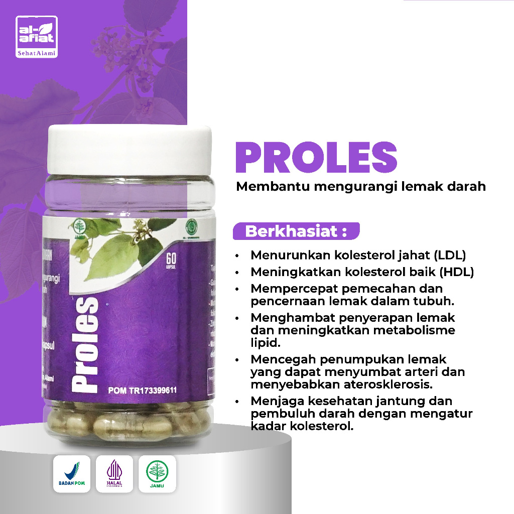 Jual Proles Al Afiat 60 kapsul | Herbal Penurun Kolesterol | Shopee ...