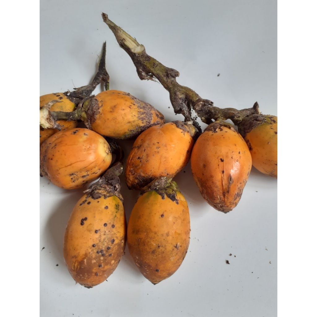 Jual Pinang Matang Kuning Asli | Jambe Matang Pohon - Segar & Kualitas ...