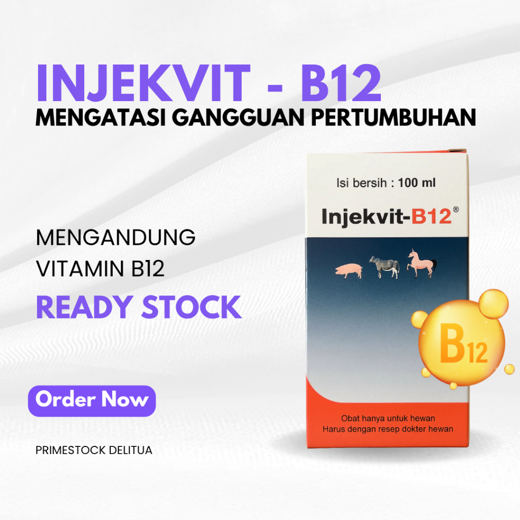 Jual Injekvit-B12 100ml + Spuit – Vitamin B12 Injeksi untuk Anemia dan ...