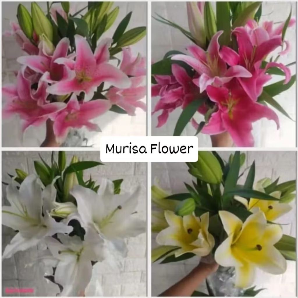 Jual Bunga lily fresh import per iket isi 5 tangkai ( per tangkai isi ...