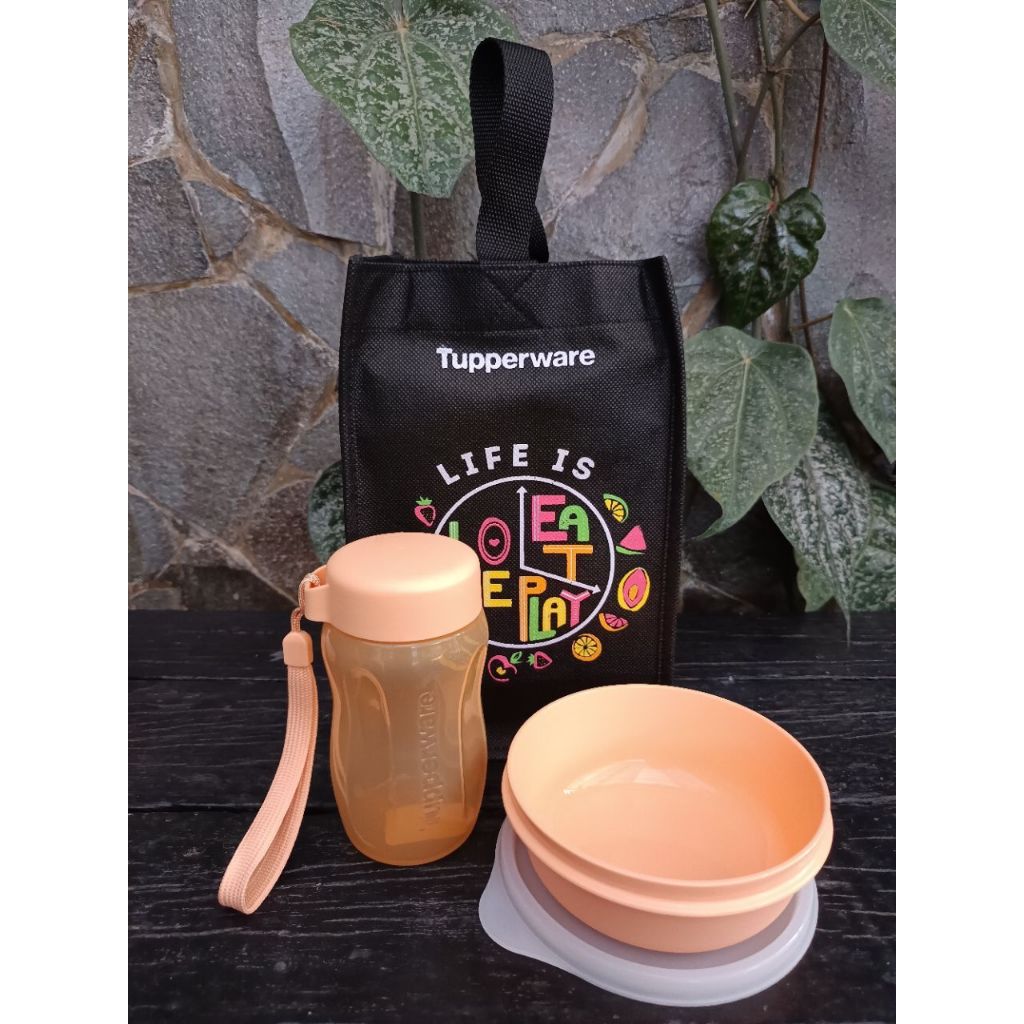 Jual PAKET JUNMOD + ECO 310ML OREN + GOODIE BAG HITAM TUPPERWARE ...