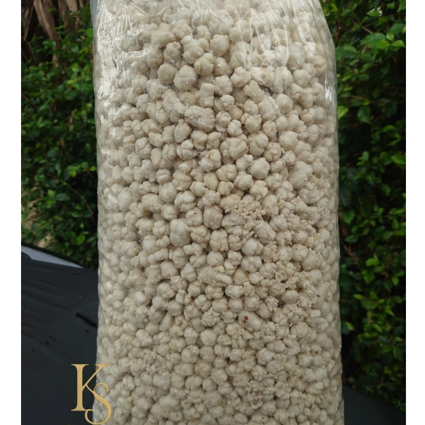 Jual Pilus Cikur Tiktak Kencur 1Kg – Snack Gurih Renyah Original Toping ...
