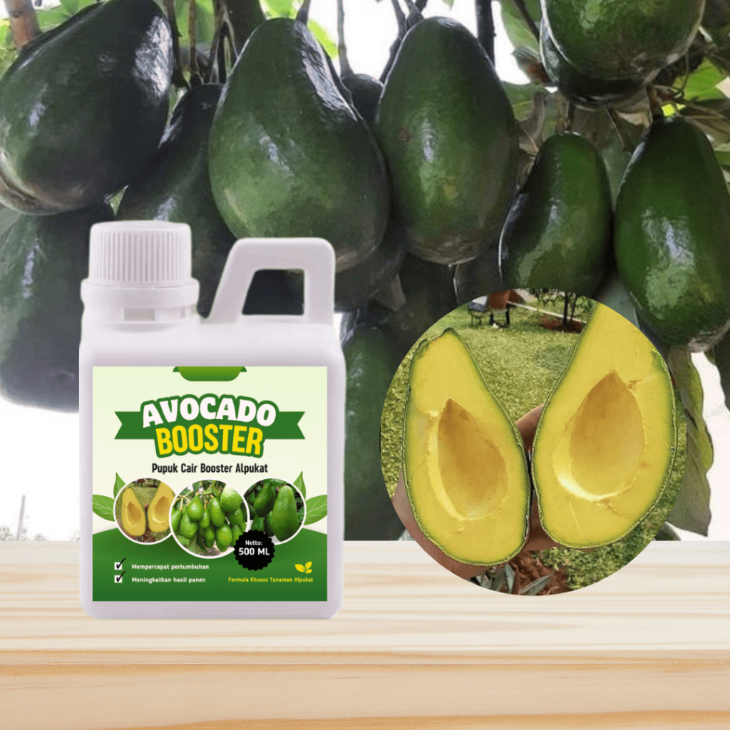 Jual Pupuk Avocado Booster 500 ML Formula Organik Cair untuk Alpukat ...