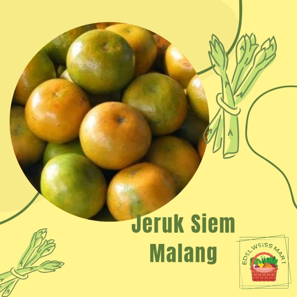 Jual JERUK SIEM MALANG 1kg - INSTANT SEMARANG | Shopee Indonesia